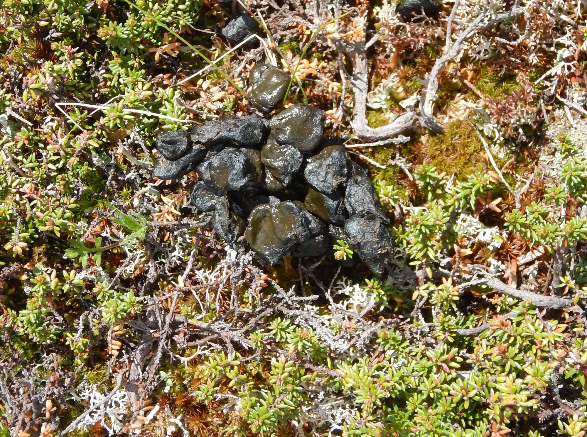 ESG – Redton Resources Inc.